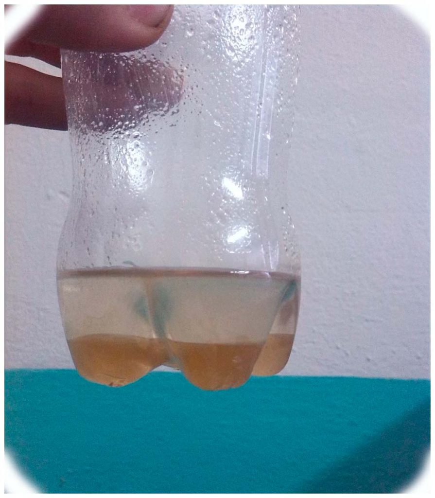 Testing Your Gasoline for Quality