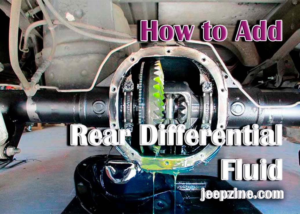 How to Add Rear Differential Fluid: Step-by-step Guide How to Add Rear Differential Fluid: Step-by-step Guide
